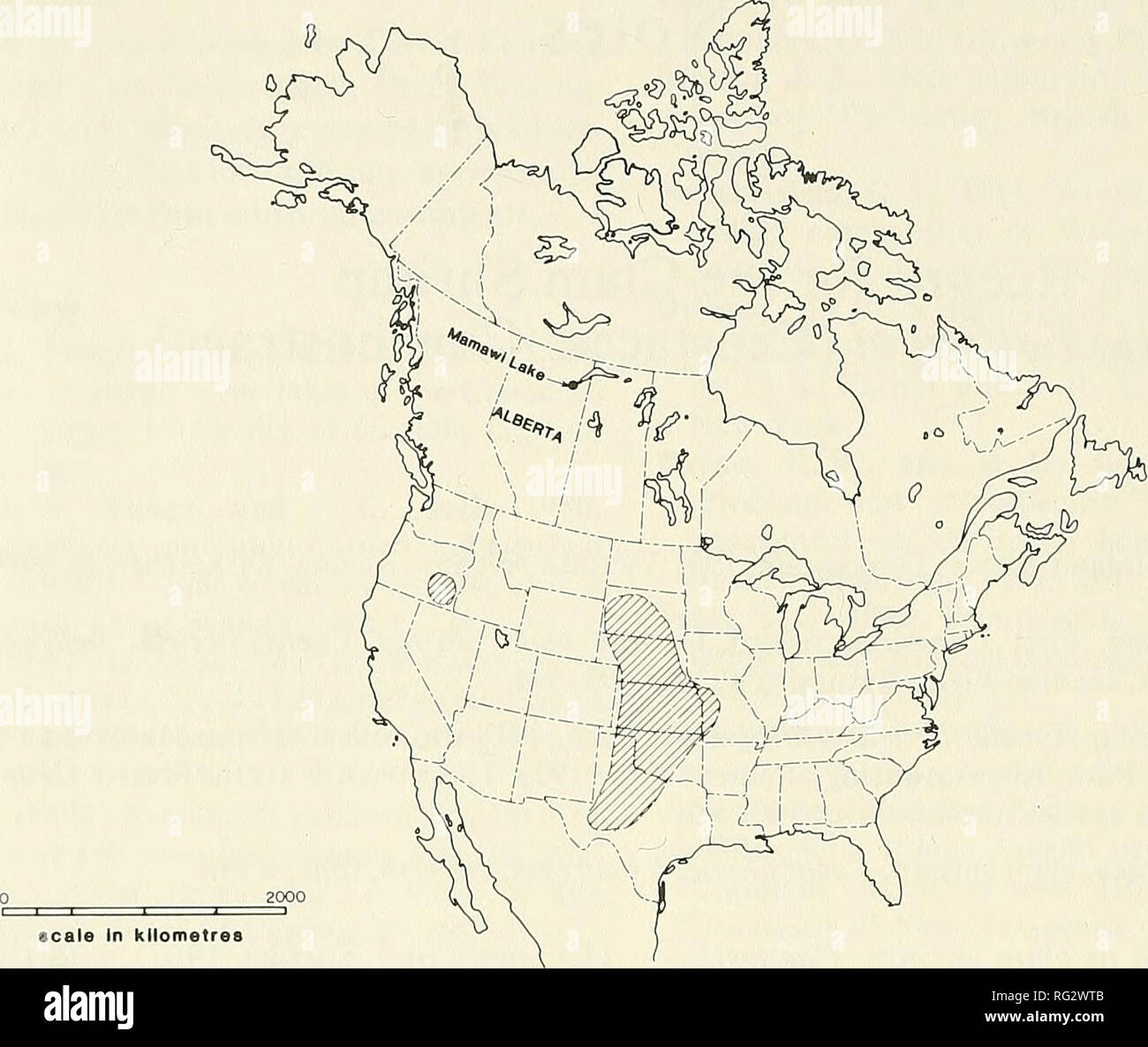 . The Canadian field-naturalist. 594 The Canadian Field-Naturalist Vol ...
