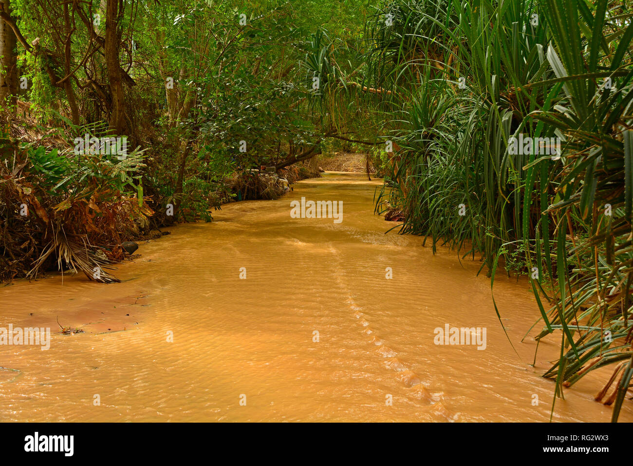 The Fairy Stream (Suoi Tien) in Mui Ne, Binh Thuan Province, Vietnam ...