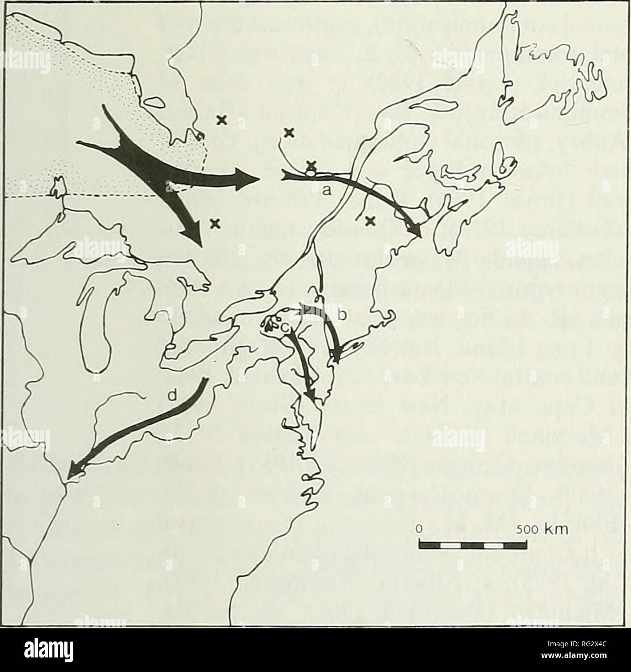 Coniferous zones hi-res stock photography and images - Alamy