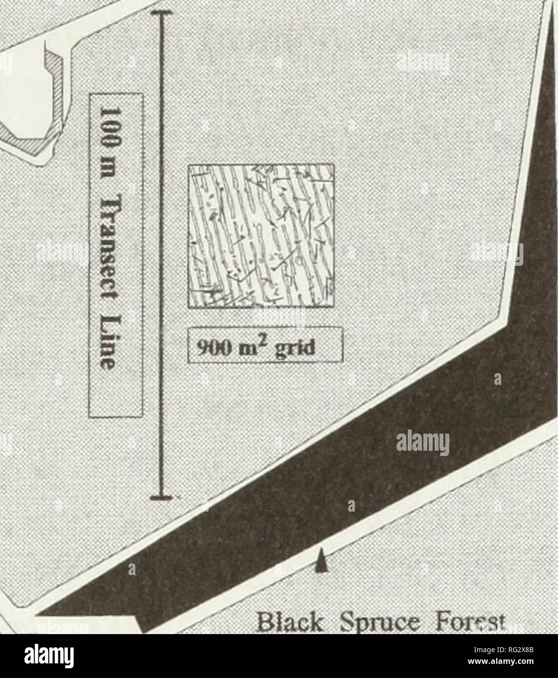 Map of chaplin hi-res stock photography and images - Alamy