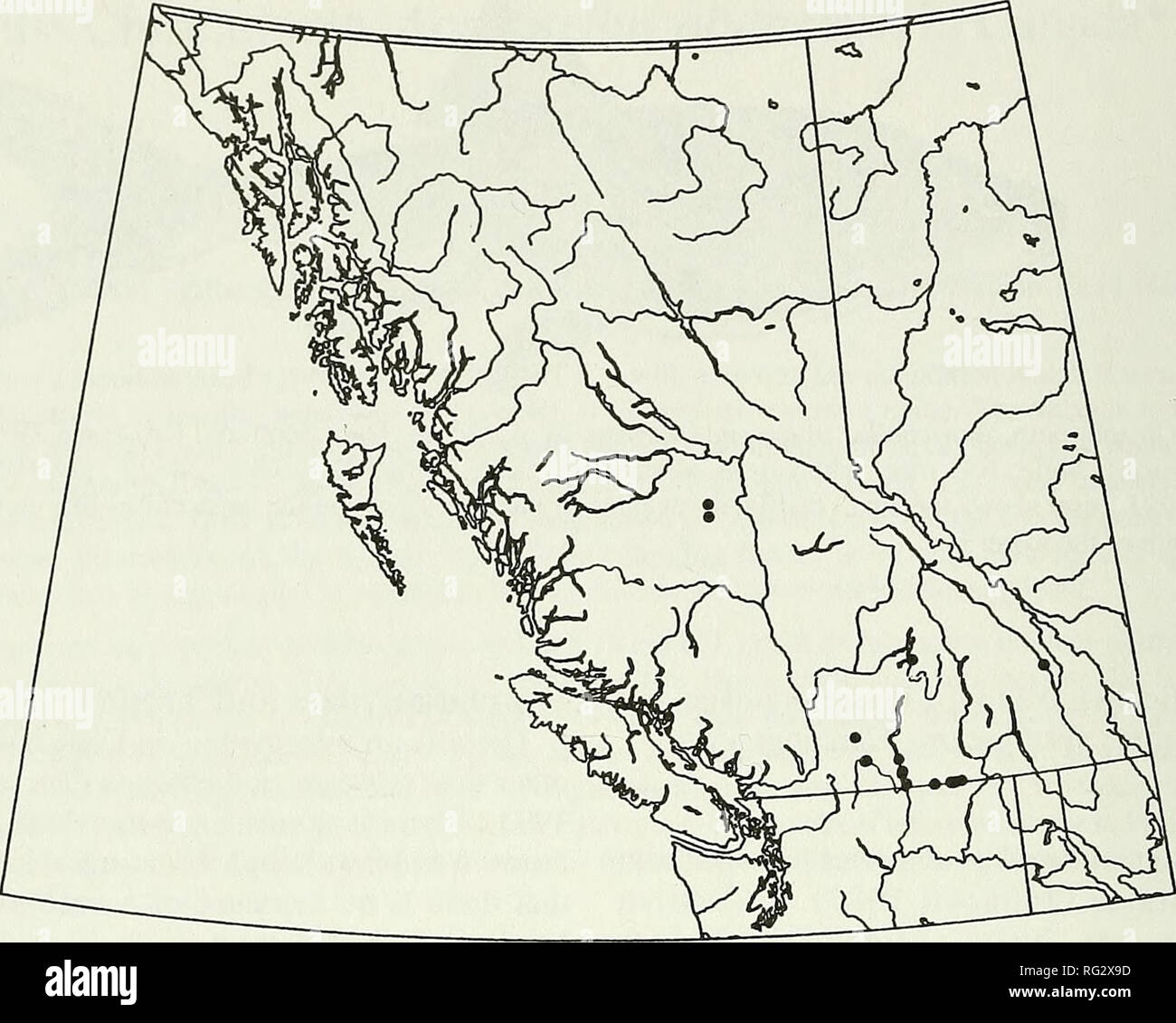 Filamentous diatoms hi-res stock photography and images - Alamy