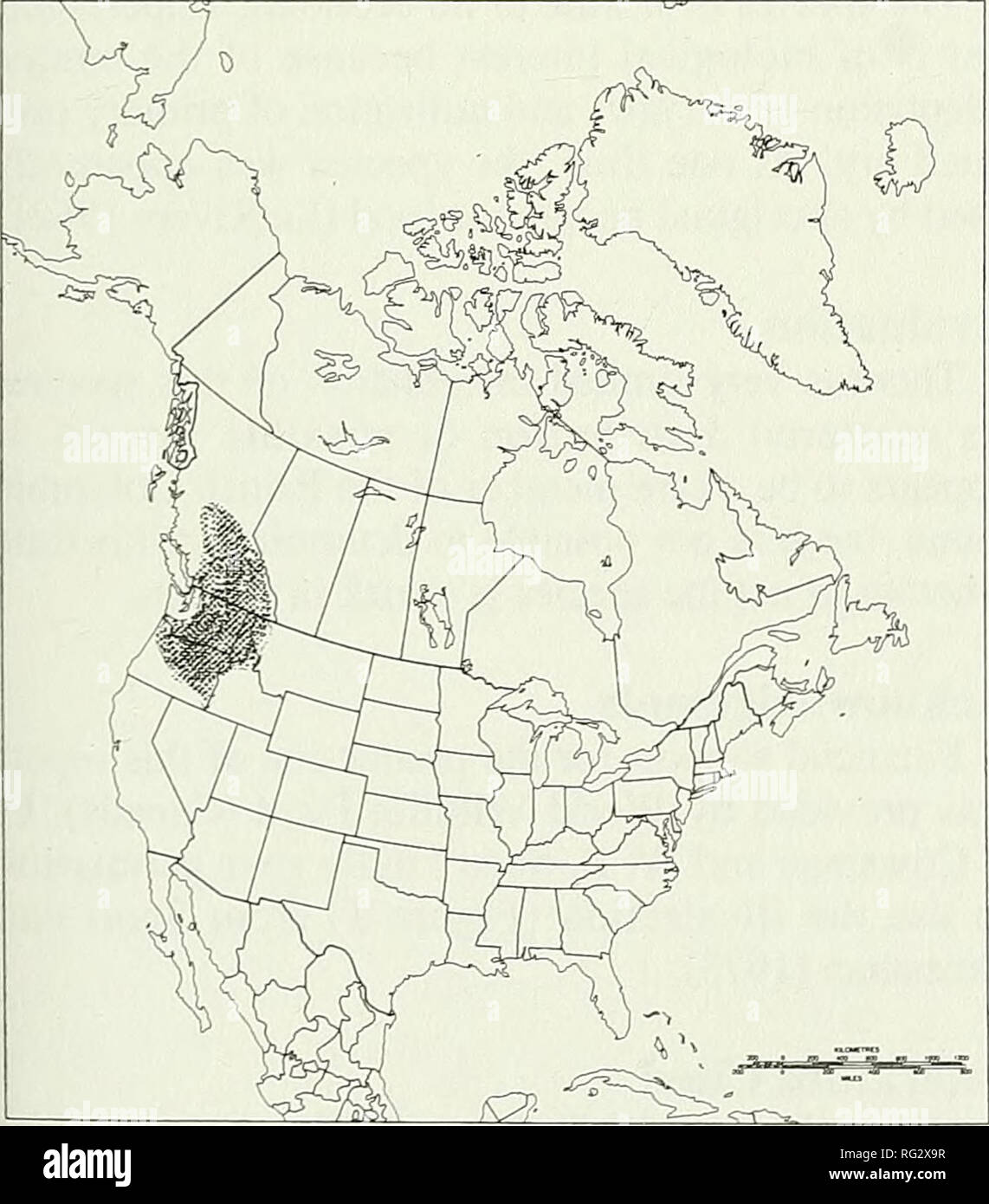 . The Canadian field-naturalist. Figure 1. Chiselmouth, Acwcheiliis ...