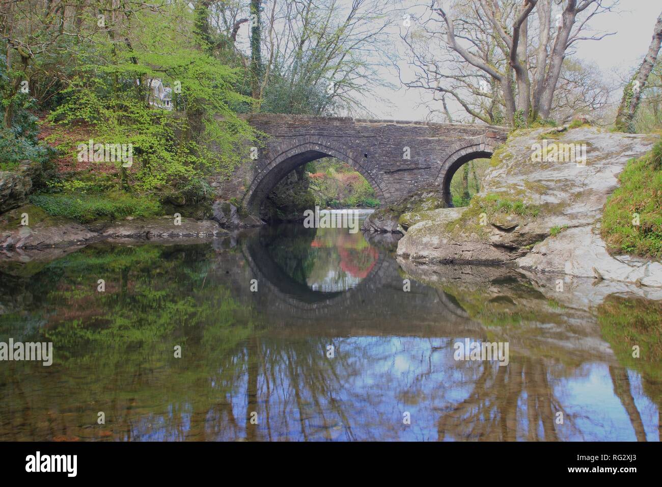 Denham Bridge, West Devon Stock Photo - Alamy
