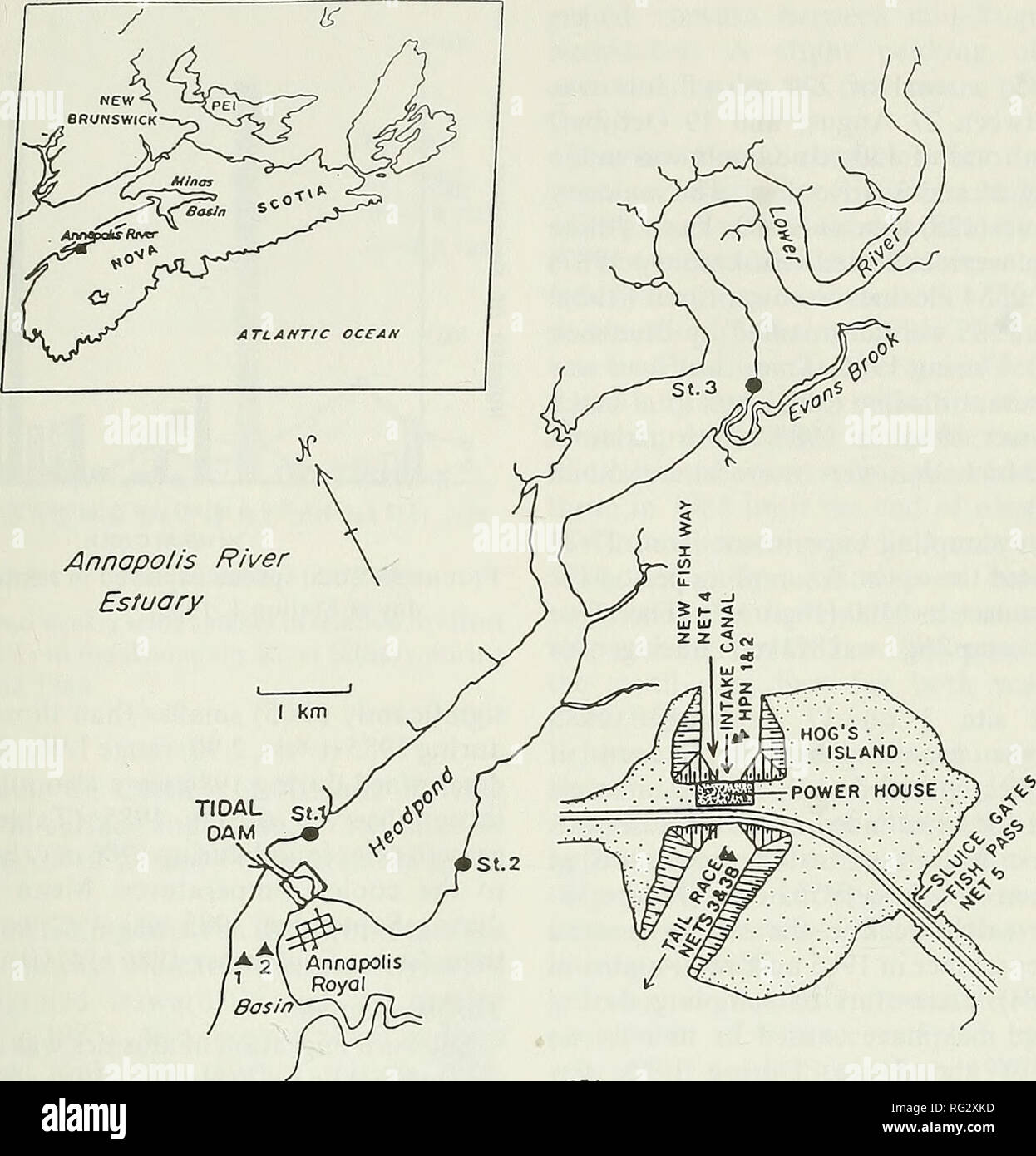 . The Canadian field-naturalist. 1989 Stokesbury and Dadswell ...