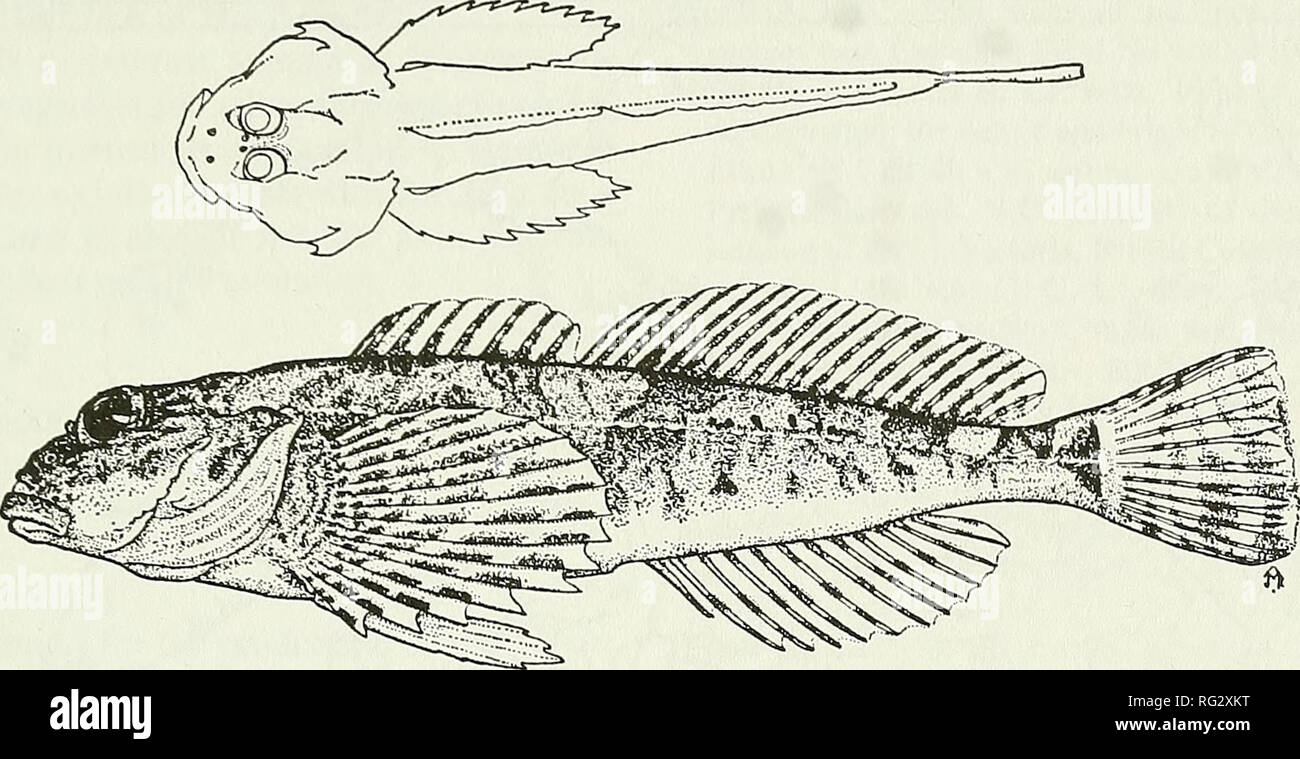 Mcphail lake hi-res stock photography and images - Alamy