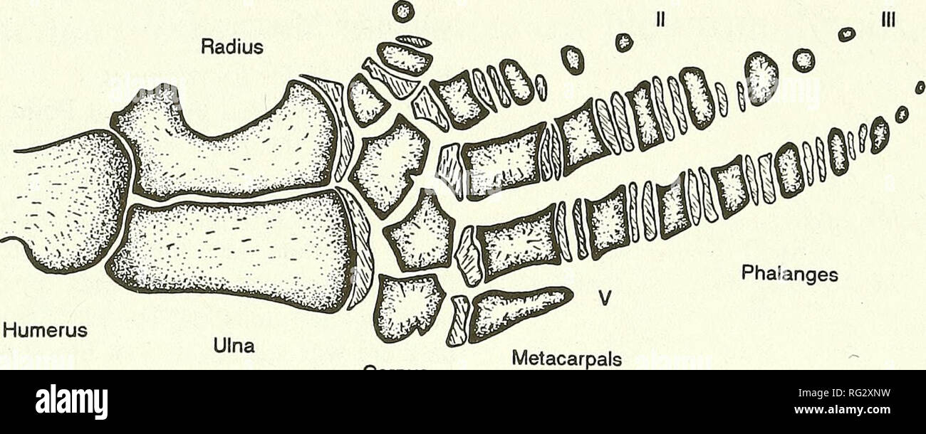 Placentia bay hi-res stock photography and images - Alamy