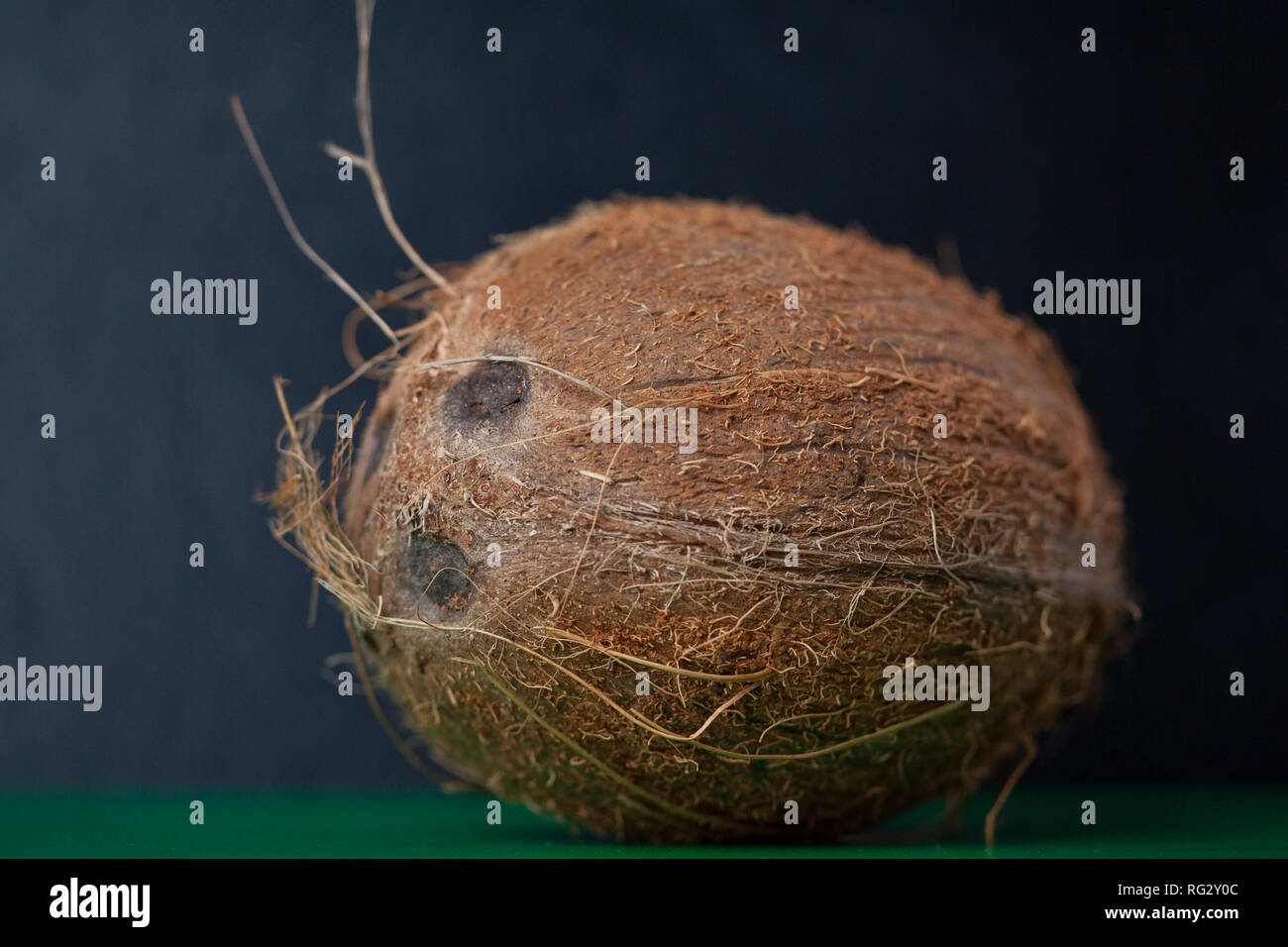 Big coconut close-up isolated on a black background. Fresh, ripe and ...