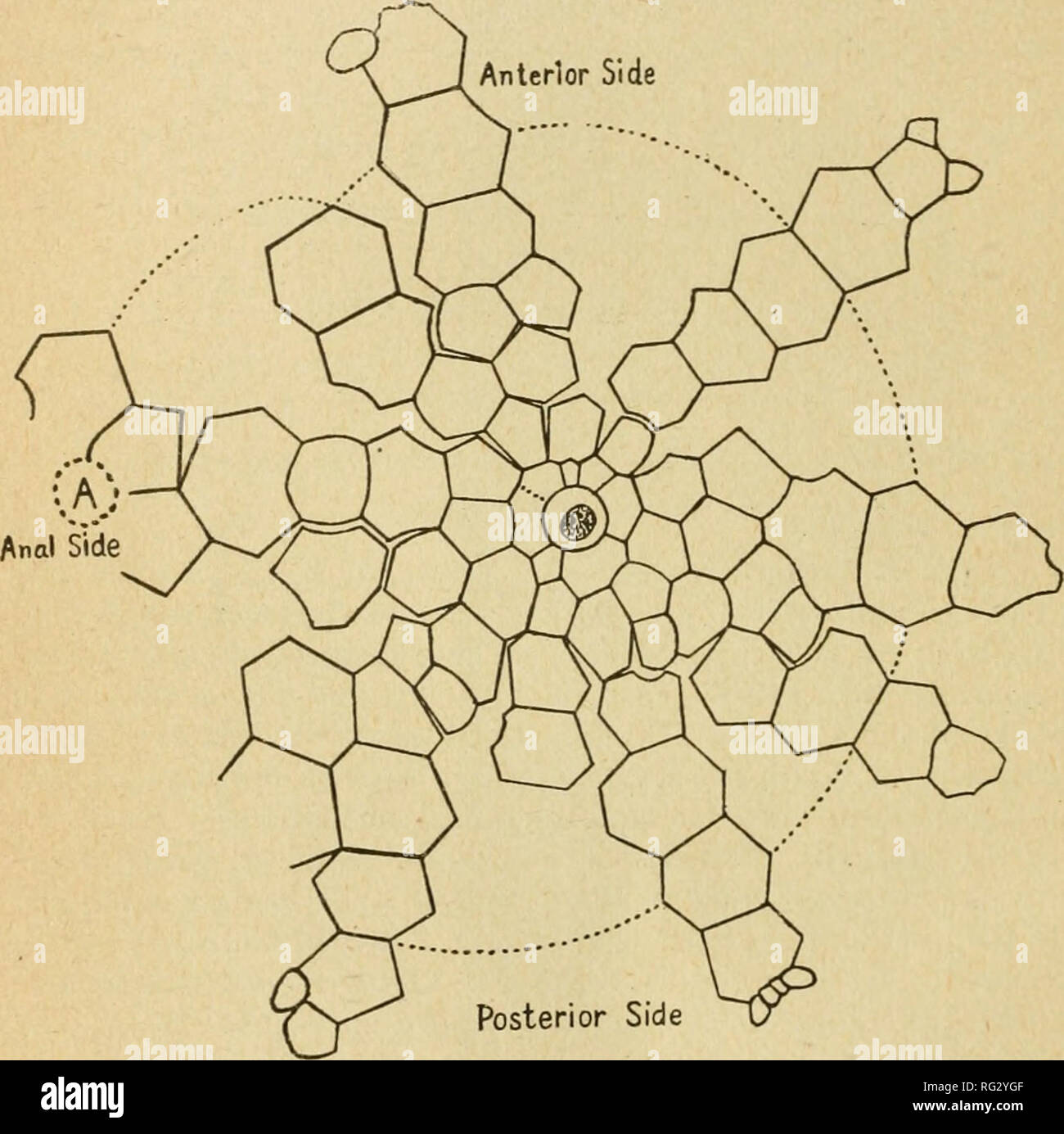 . The Canadian field-naturalist. Natural history. 102 The Ottawa ...