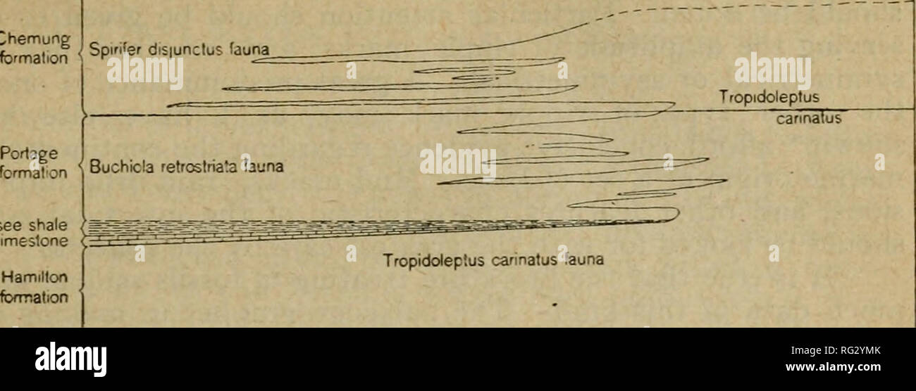 . The Canadian field-naturalist. Natural history. 1916] The Ottawa ...