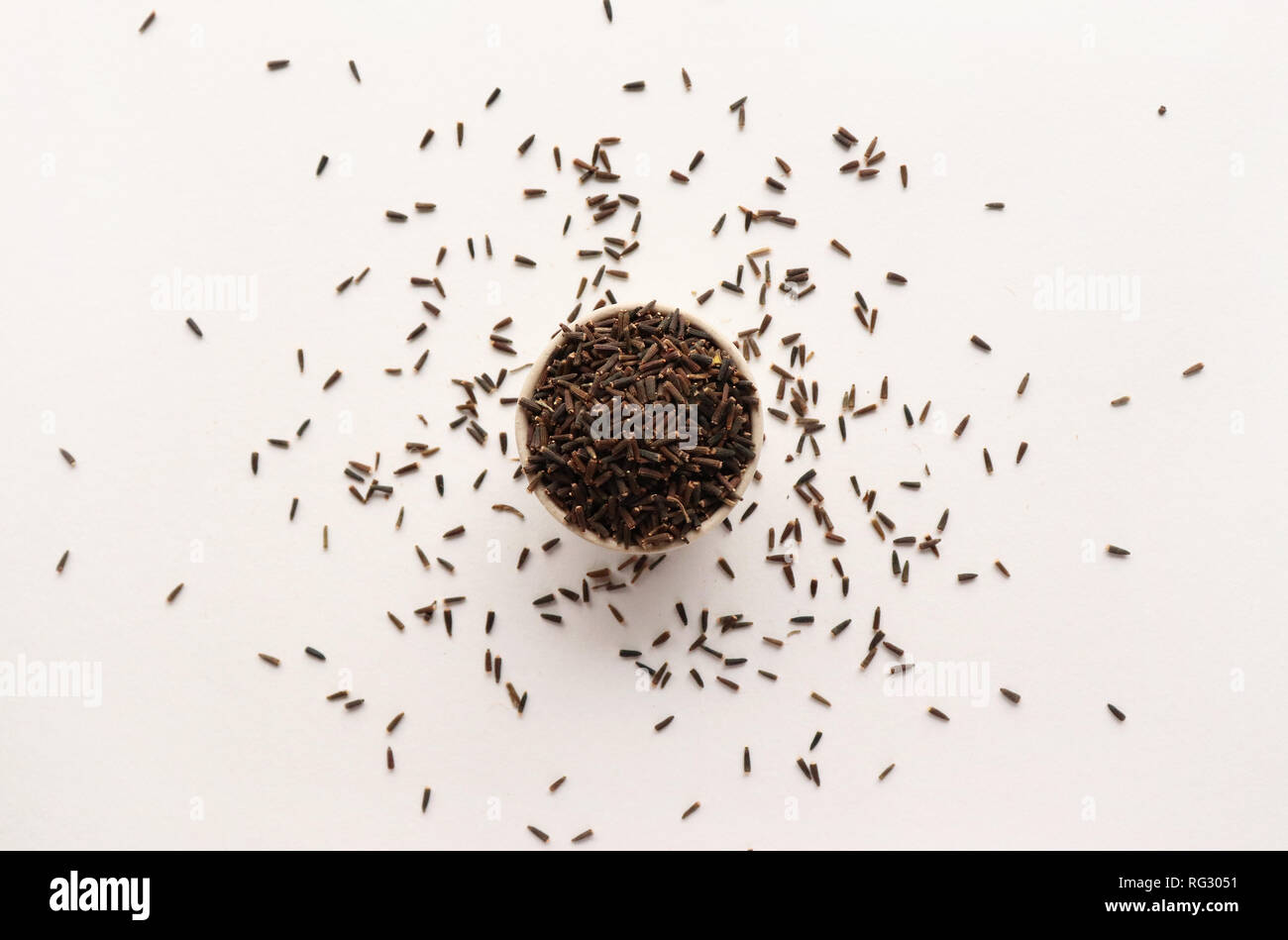 Cumin farm hi-res stock photography and images - Alamy
