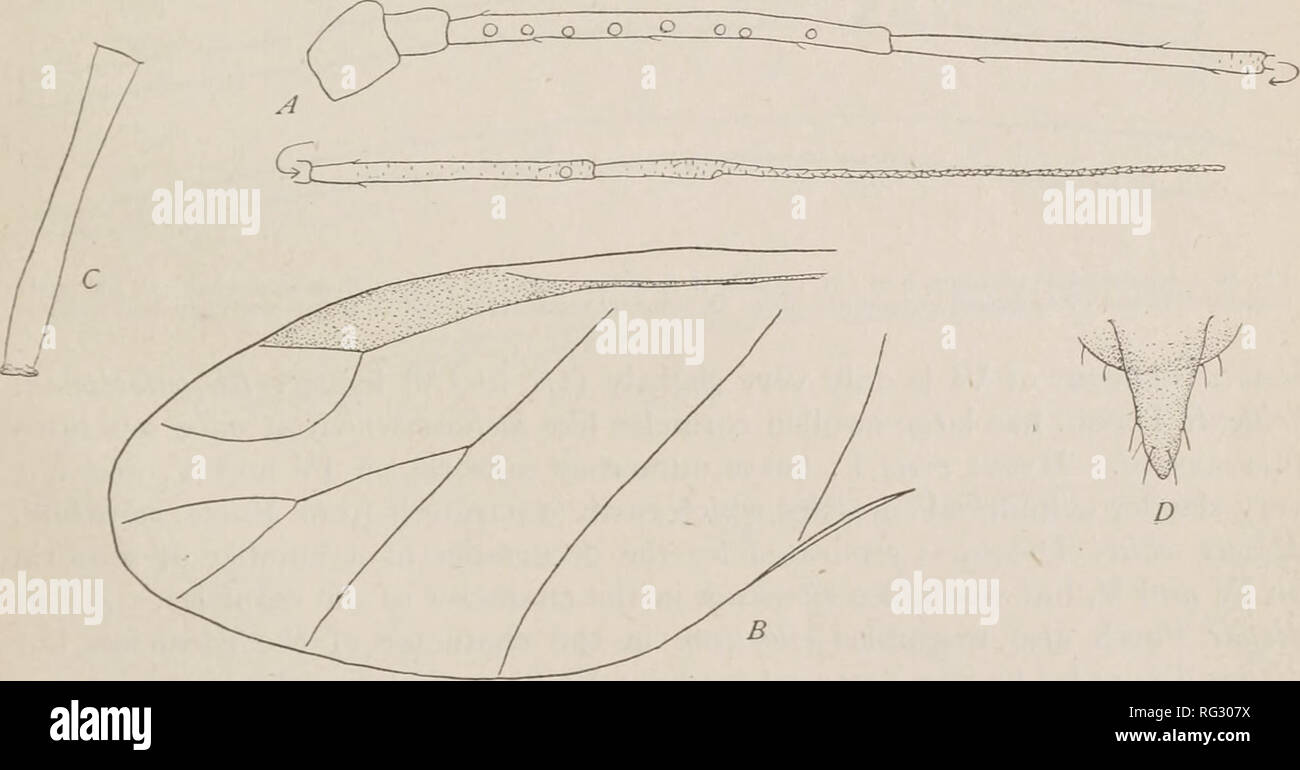 . The Canadian entomologist. Insects; Entomology. THE CANADIAN ...