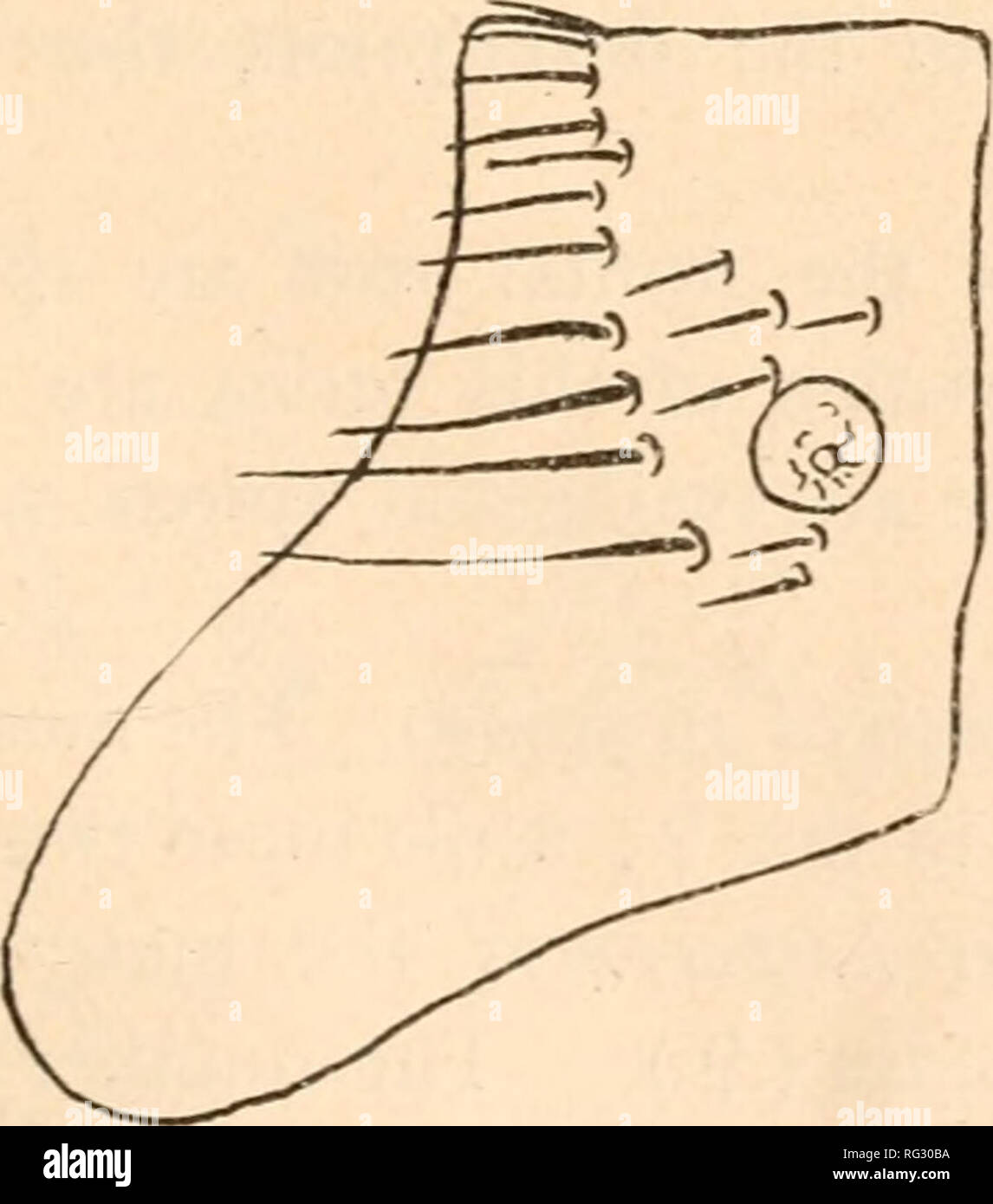 . The Canadian entomologist. Insects; Entomology. Canadian mutomalcubt ...