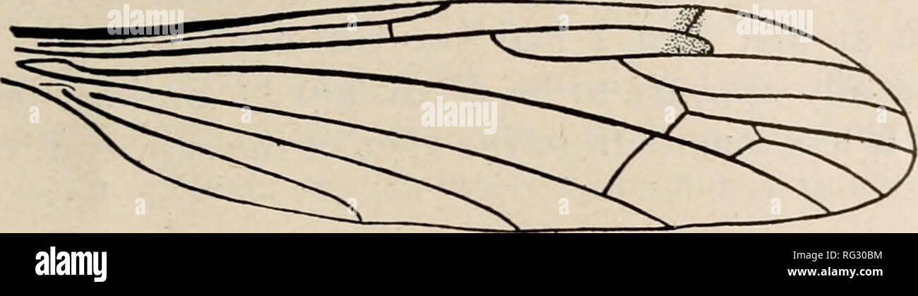 . The Canadian entomologist. Insects; Entomology. THE CANADIAN ...