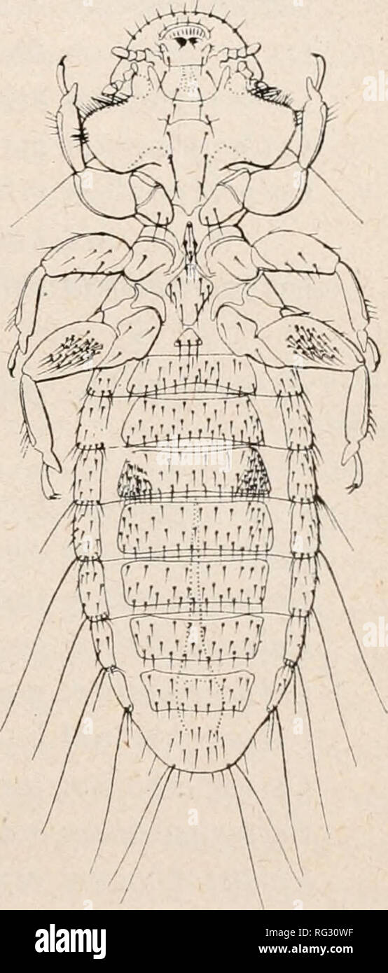 . The Canadian entomologist. Insects; Entomology. THE CANADIAN ...