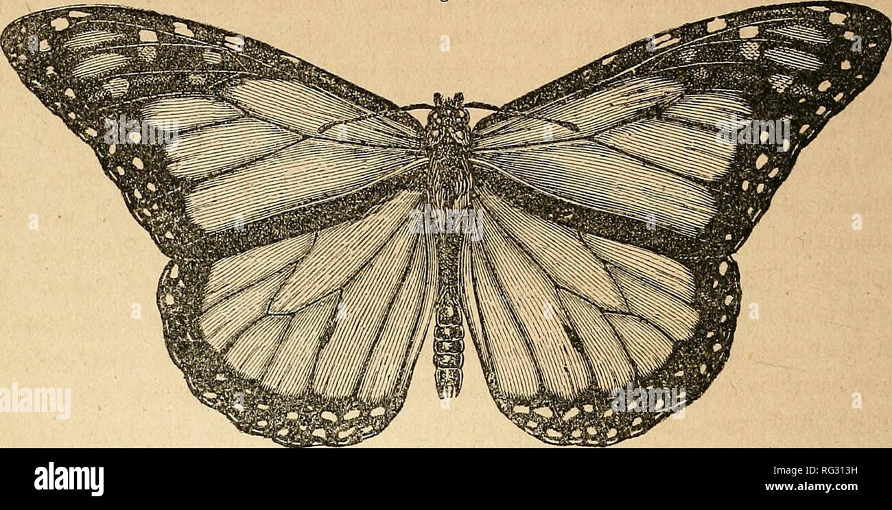 Fashion indus hi-res stock photography and images - Alamy