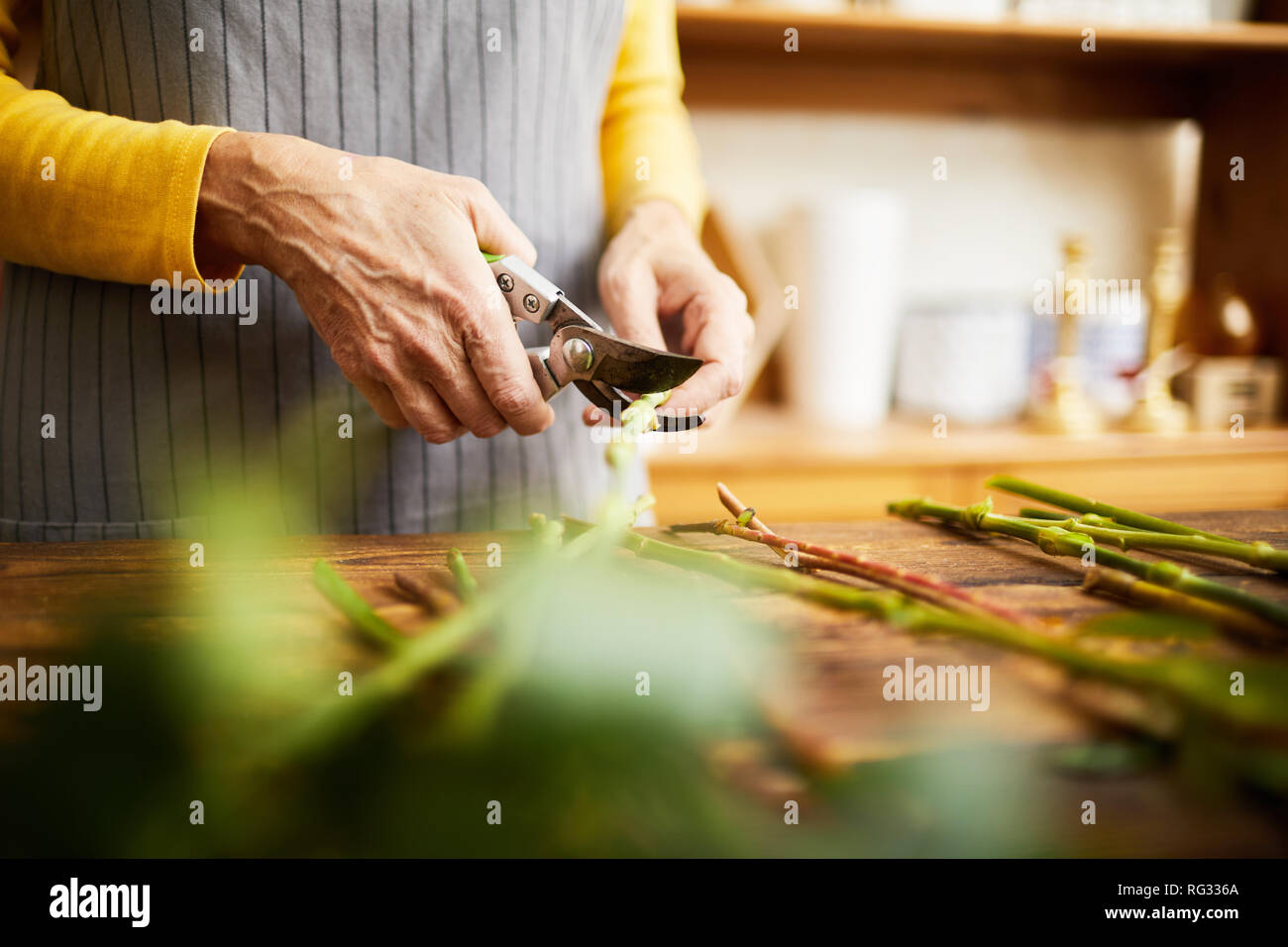 Cutting stem hi-res stock photography and images - Alamy