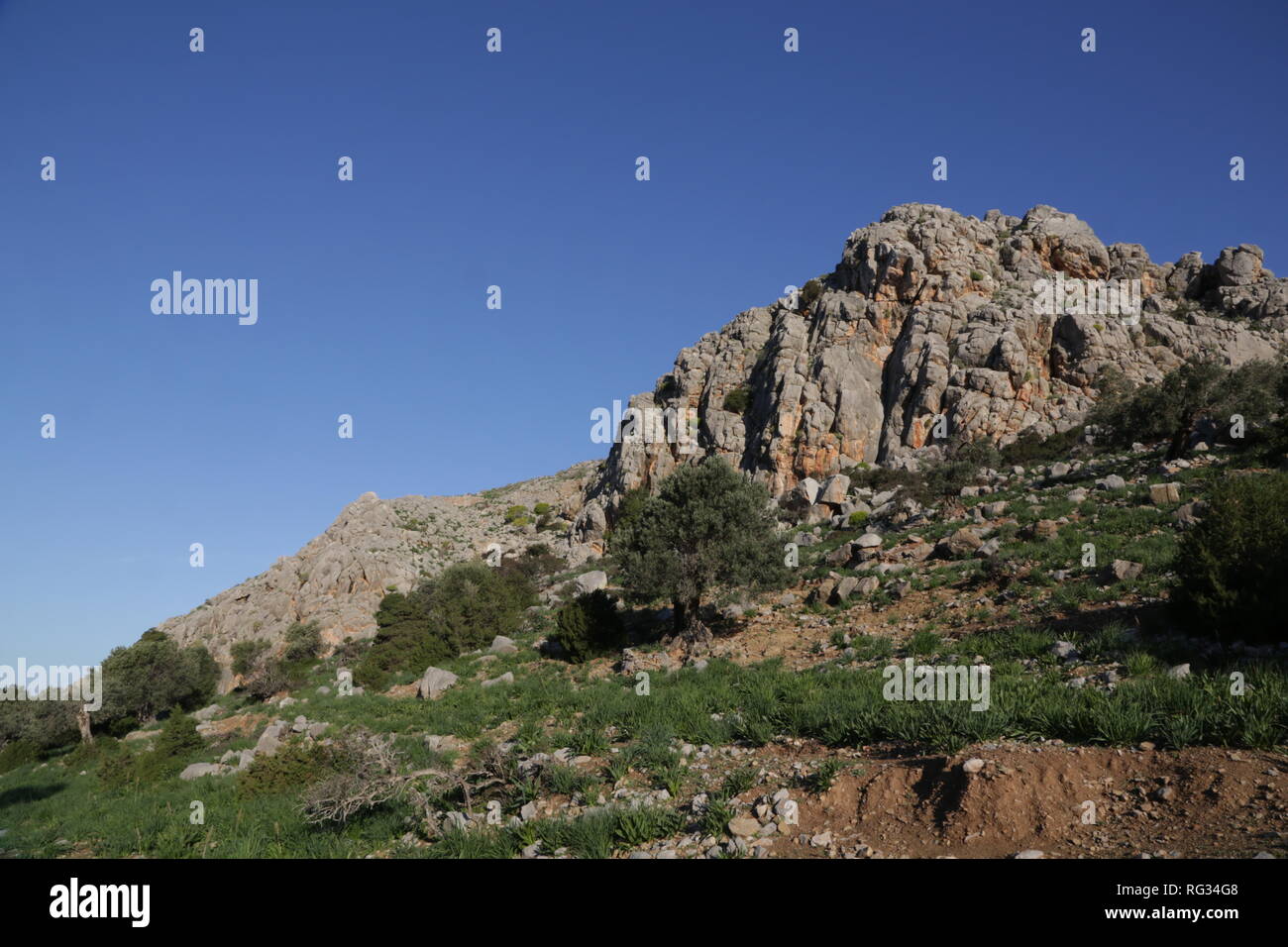 Greece, Dokos, Dokos island Stock Photo - Alamy