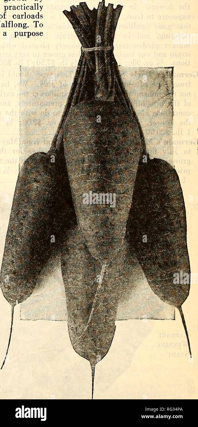 Garrotte hi-res stock photography and images - Alamy