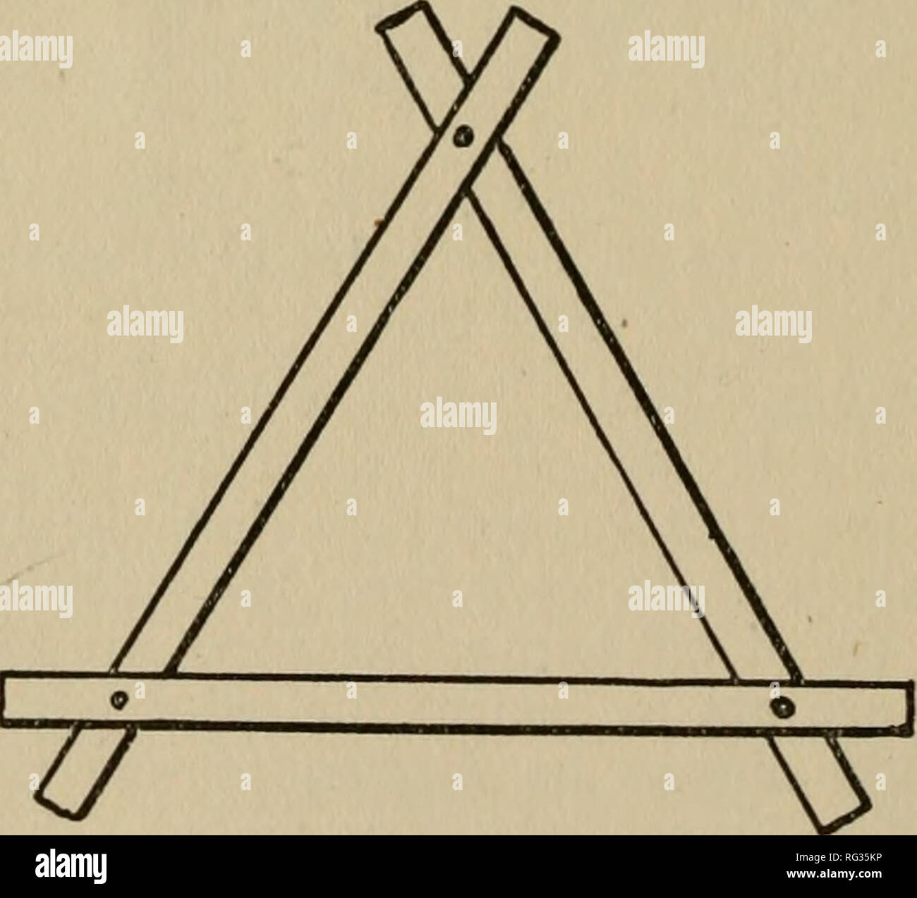 Five corner fruit hi-res stock photography and images - Alamy