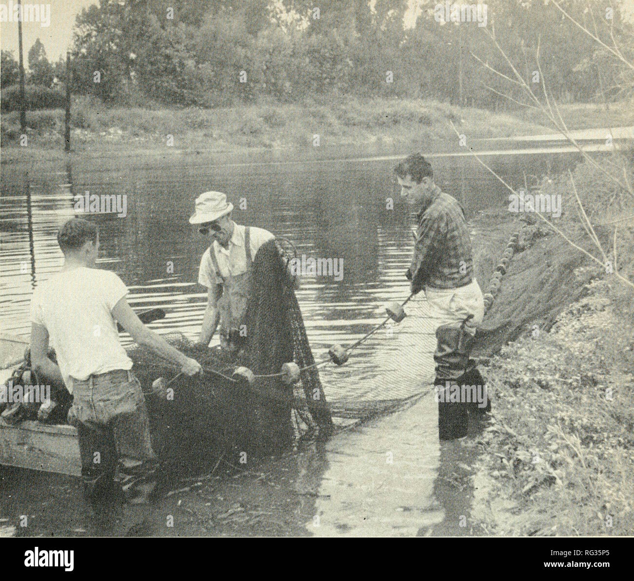 Puddingstone los angeles hi-res stock photography and images - Alamy
