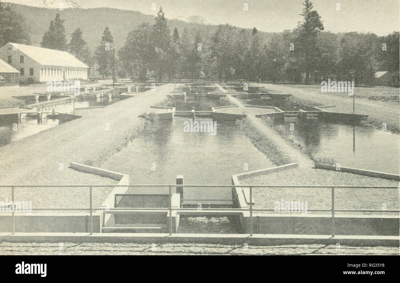 Fish rearing station hi-res stock photography and images - Alamy