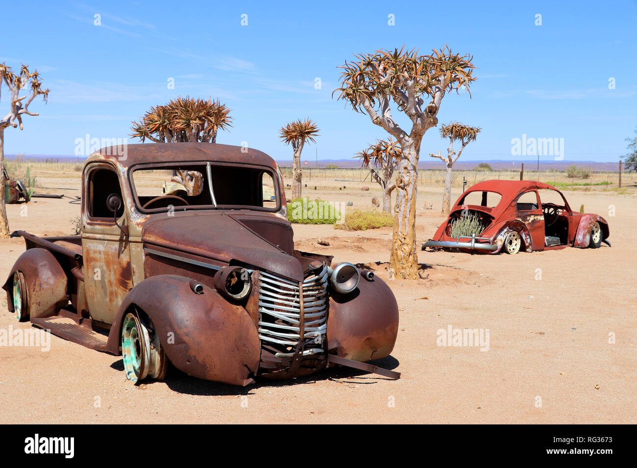 Old Cars with quiver tree - Namibia Africa Stock Photo - Alamy