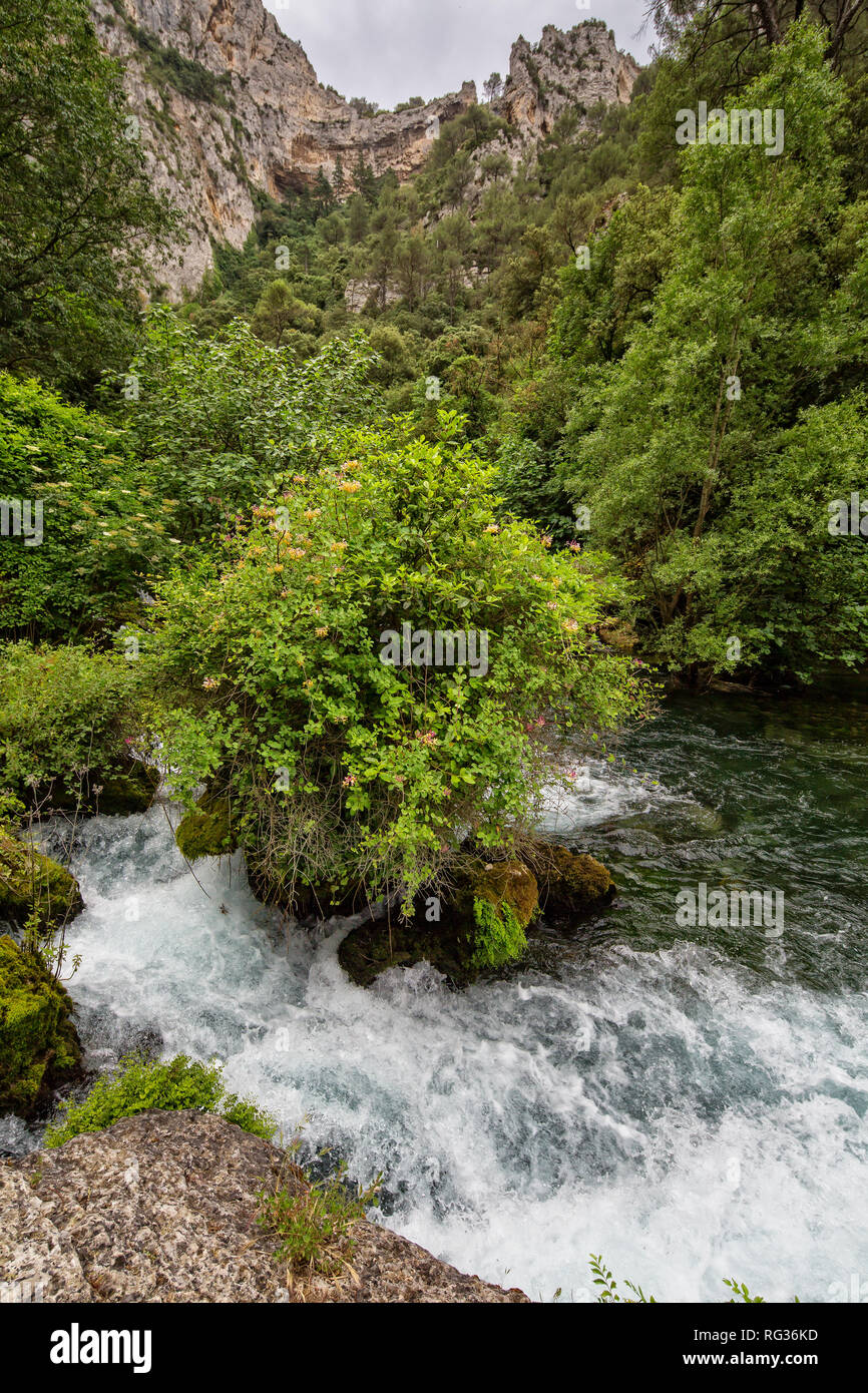 Rocks an vegetation on the River Sorgue. The river Sorgue with rocks ...