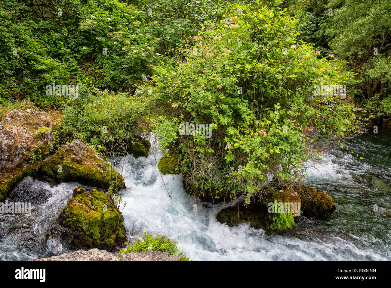 Rocks and vegetation on the River Sorgue. Watercourse with waterfalls ...
