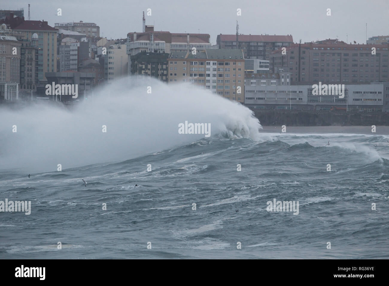 Big waves breaking in the Orzan inlet with the buildings of the city in ...