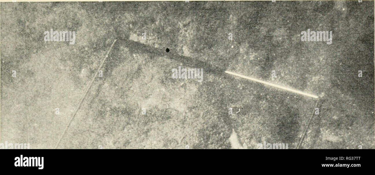 Quadrat transect line hi-res stock photography and images - Alamy