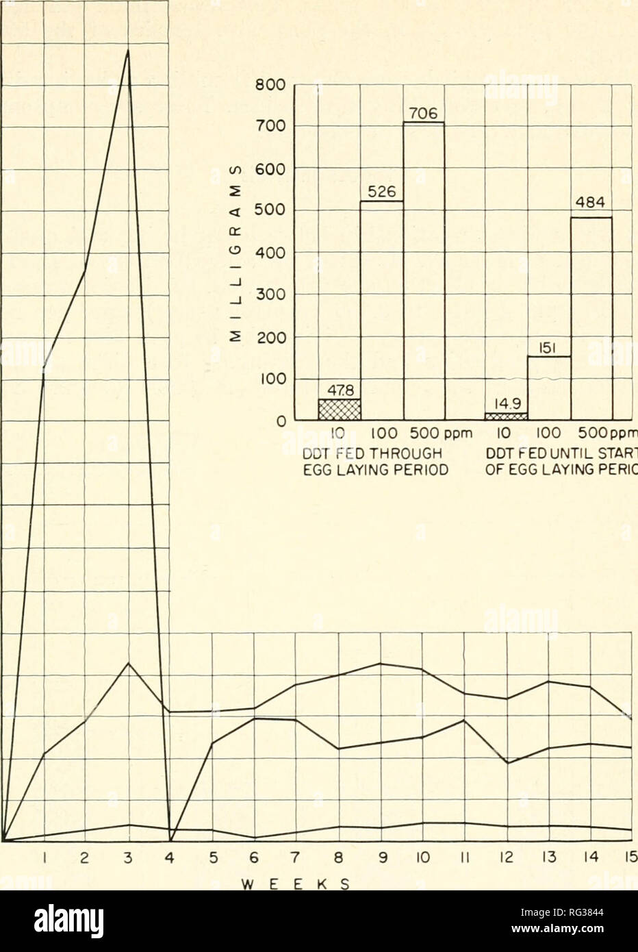 Ddt egg hi-res stock photography and images - Alamy