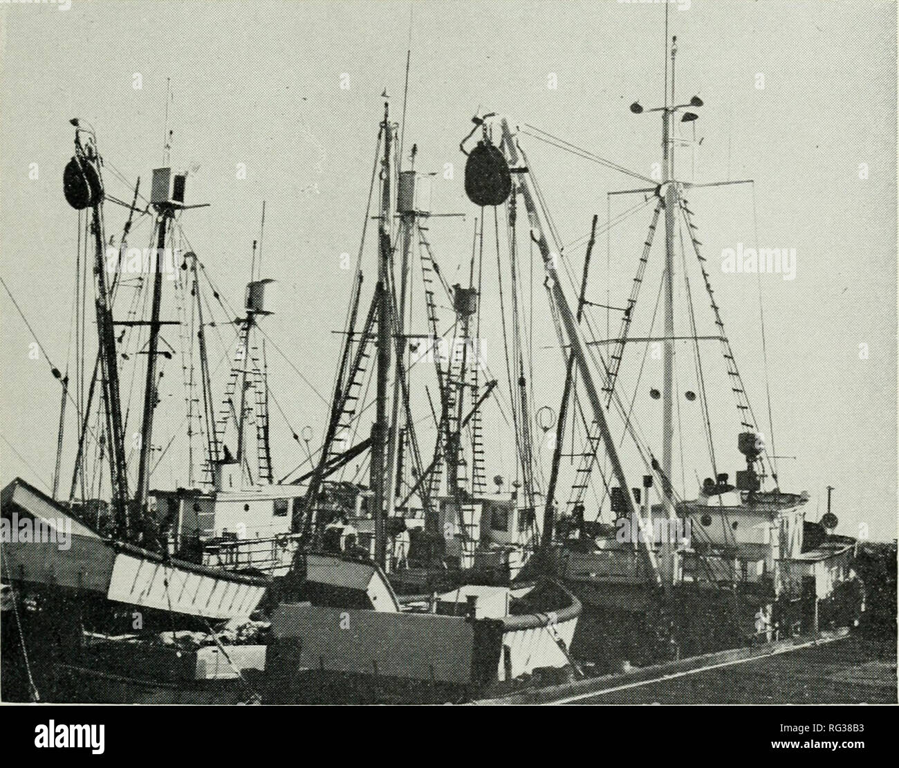 Tuna purse seine fleet hi-res stock photography and images - Alamy