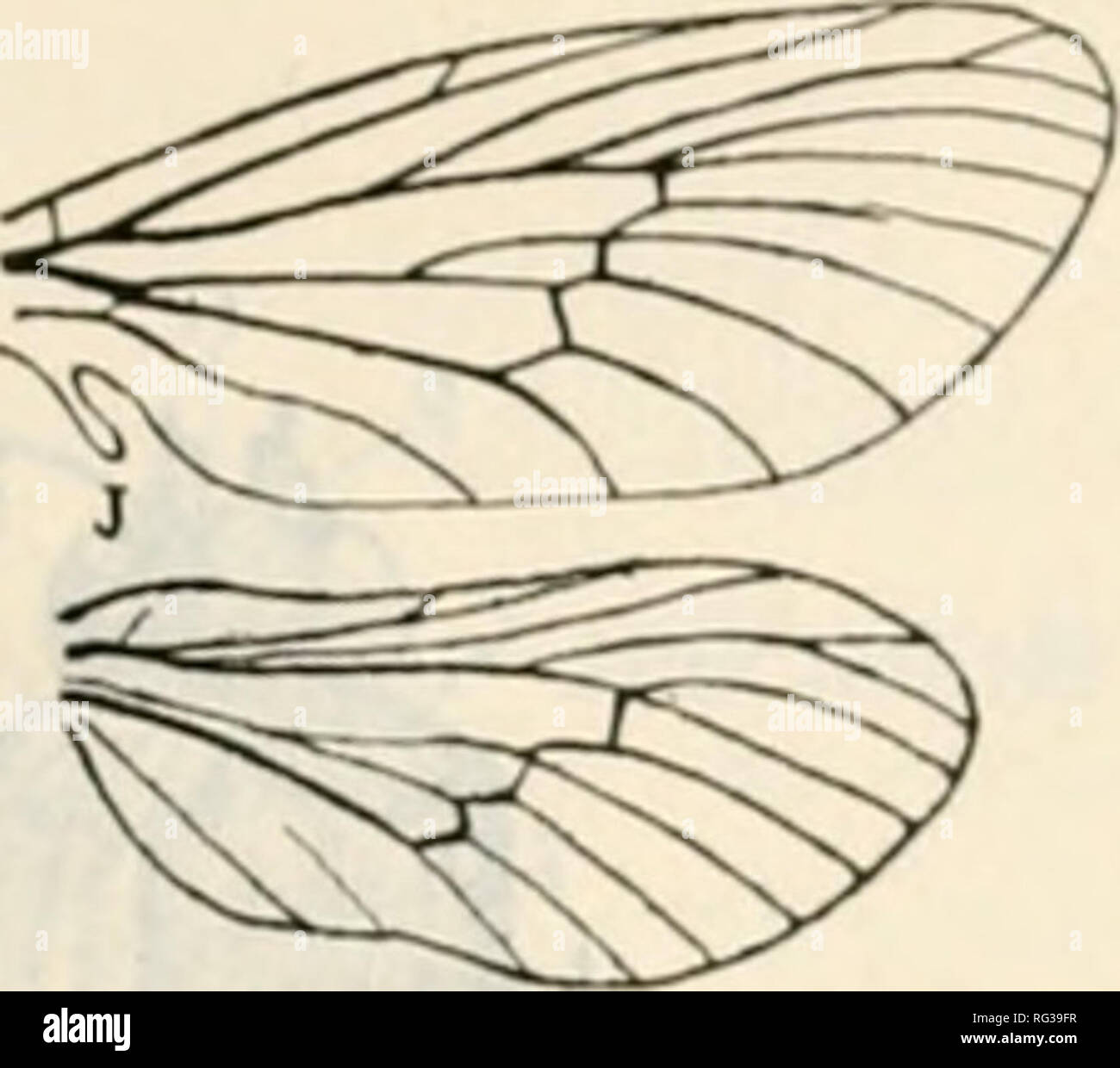 Phw High Resolution Stock Photography and Images - Alamy