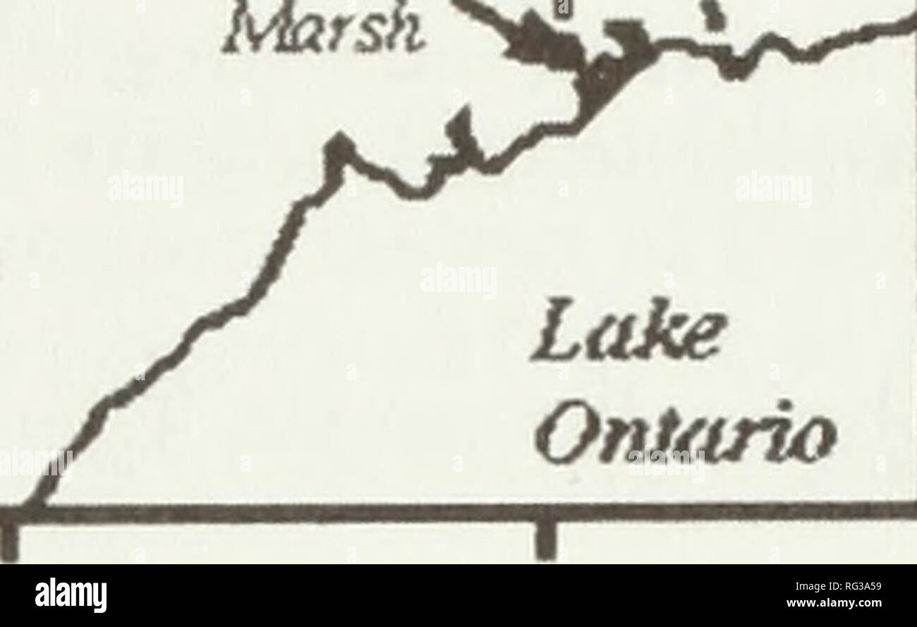 Simcoe map hi-res stock photography and images - Alamy