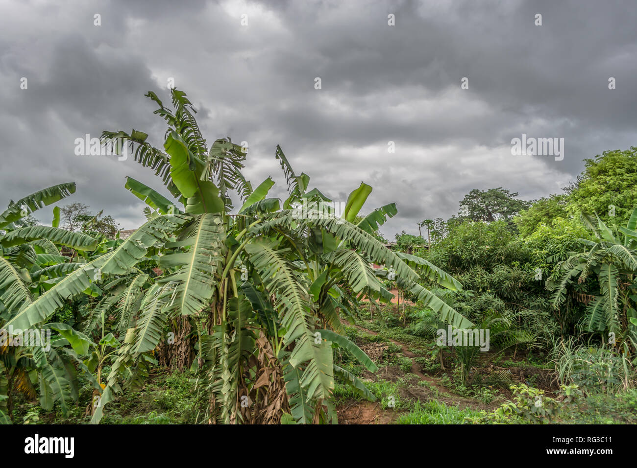 Trip through Angola's lands 2018: View with typical tropical landscape ...