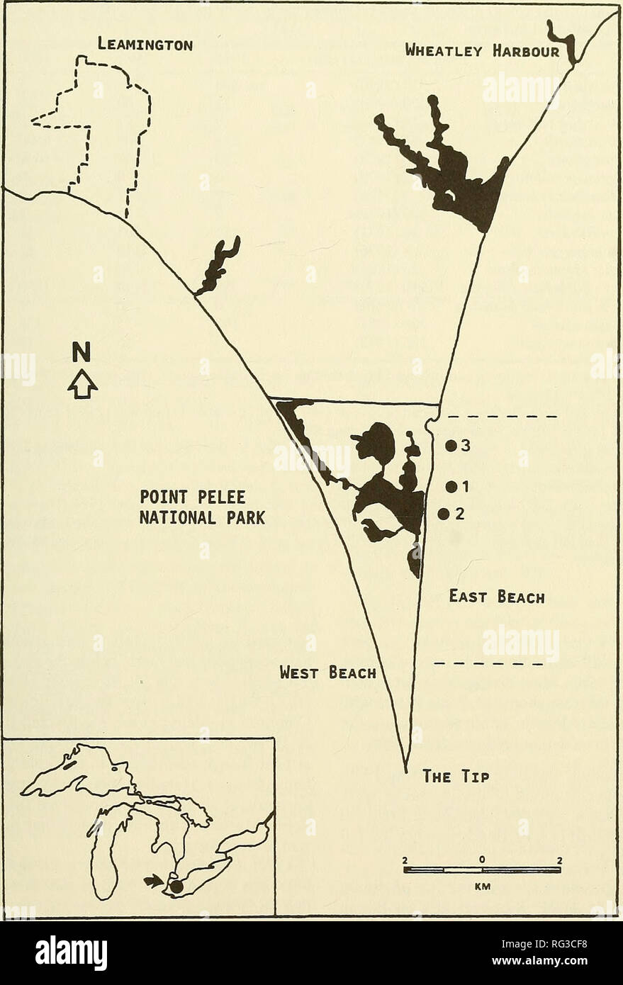 . The Canadian field-naturalist. 1992 WORMINGTON AND LEACH ...