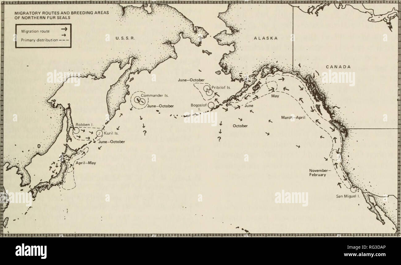 Hanson 1997 hi-res stock photography and images - Alamy