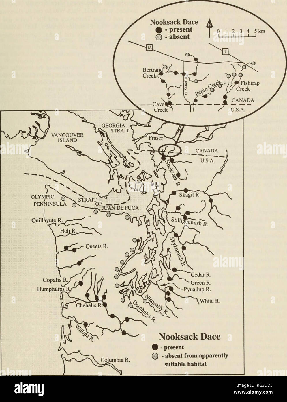 Nooksack dace hi-res stock photography and images - Alamy