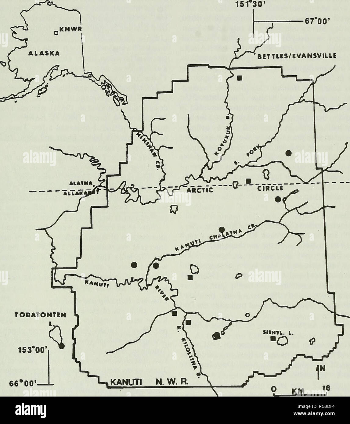 . The Canadian field-naturalist. 1993 WiLK: Tundra and Trumpeter Swans ...