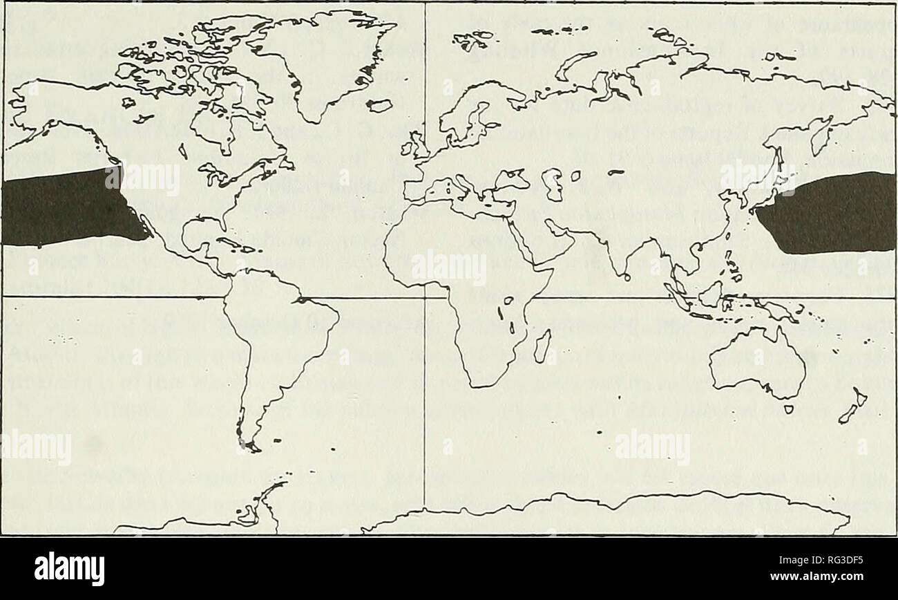 Beaked whale teeth hi-res stock photography and images - Alamy