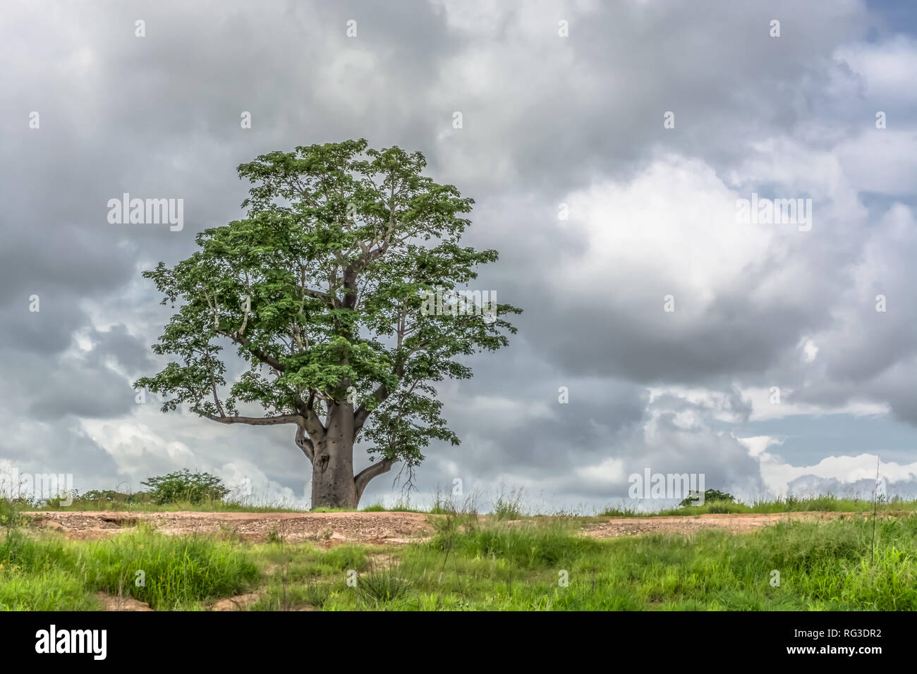 Trip through Angola's lands 2018: View with typical tropical landscape ...