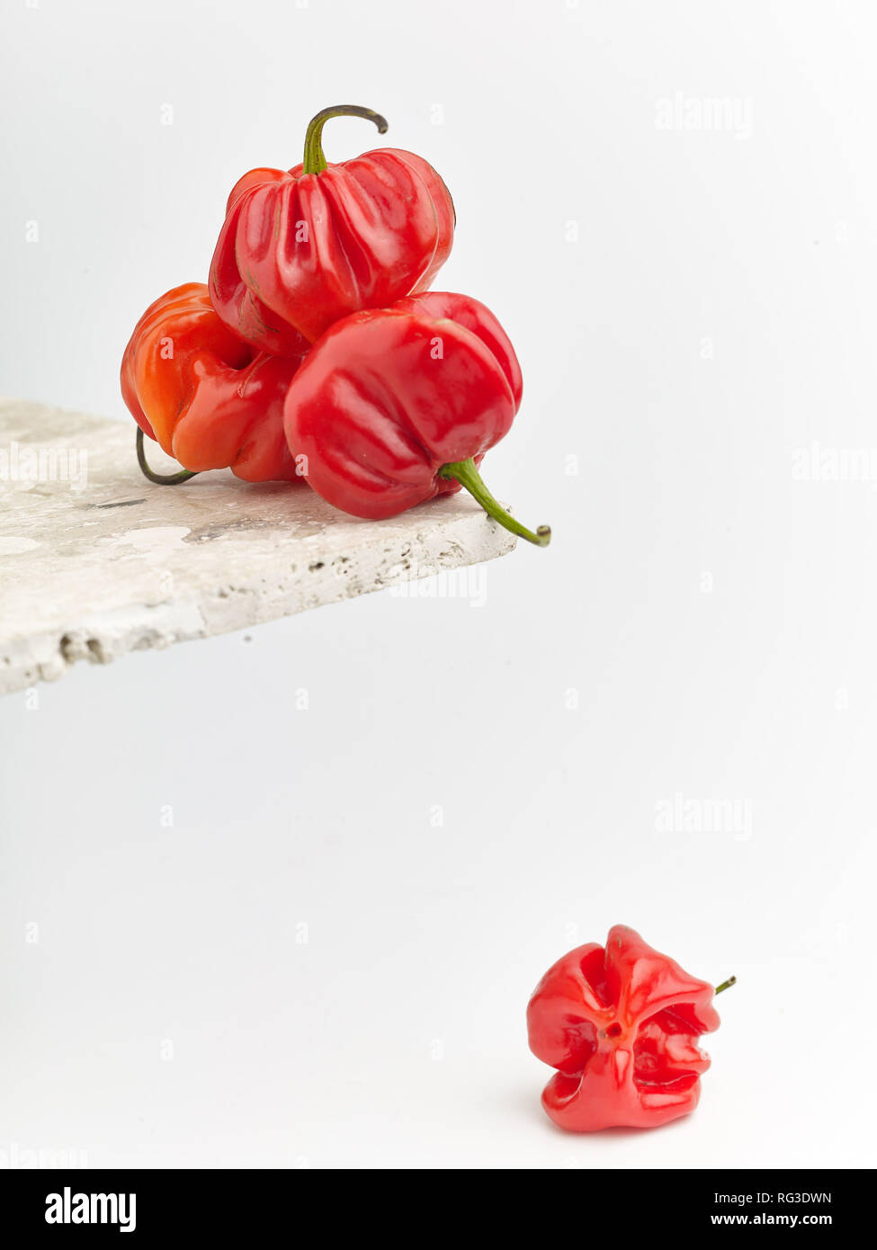 Colourful Scotch Bonnet hot pepper, food still-life photograph Stock ...