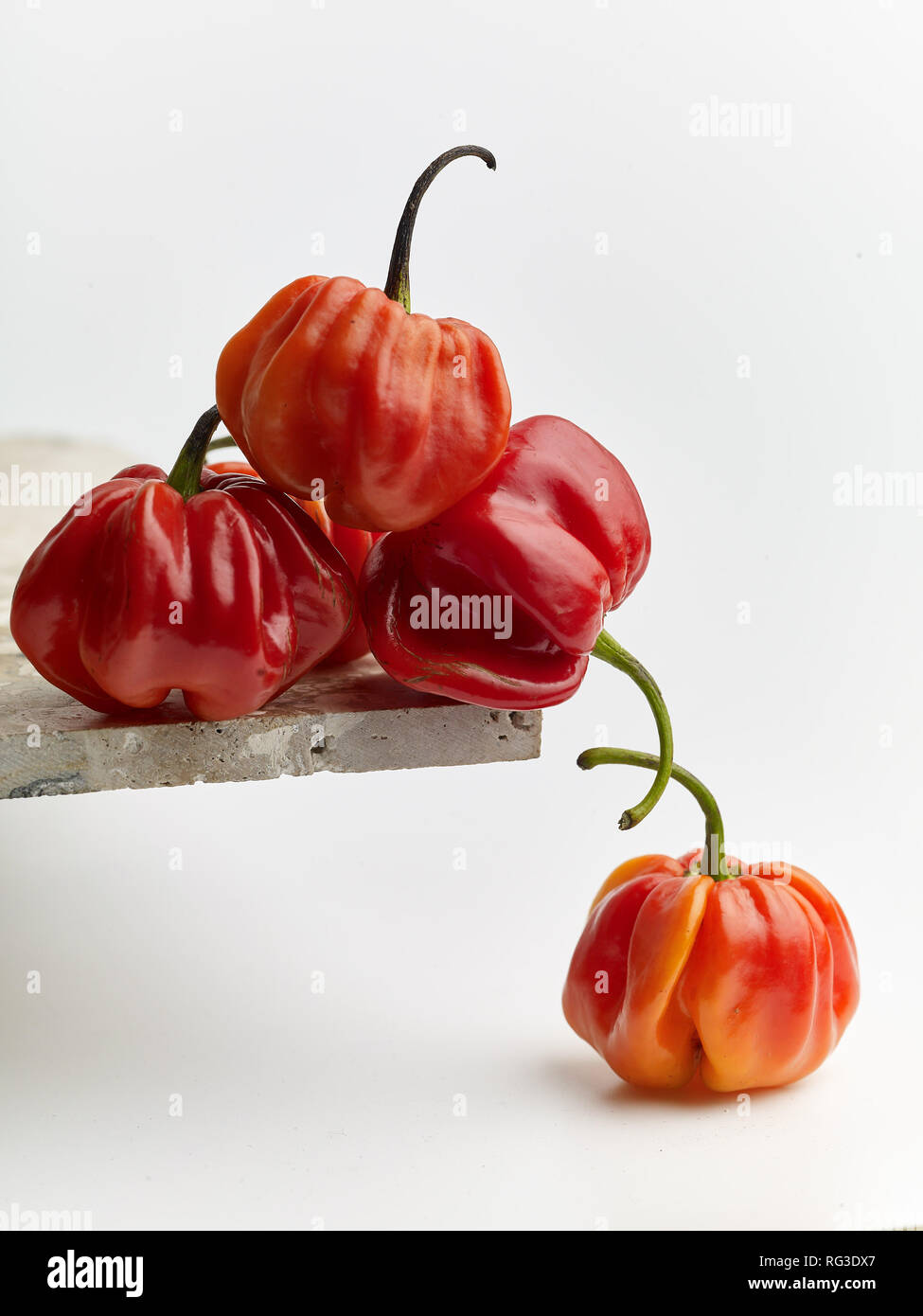 Colourful Scotch Bonnet hot pepper, food still-life photograph Stock ...