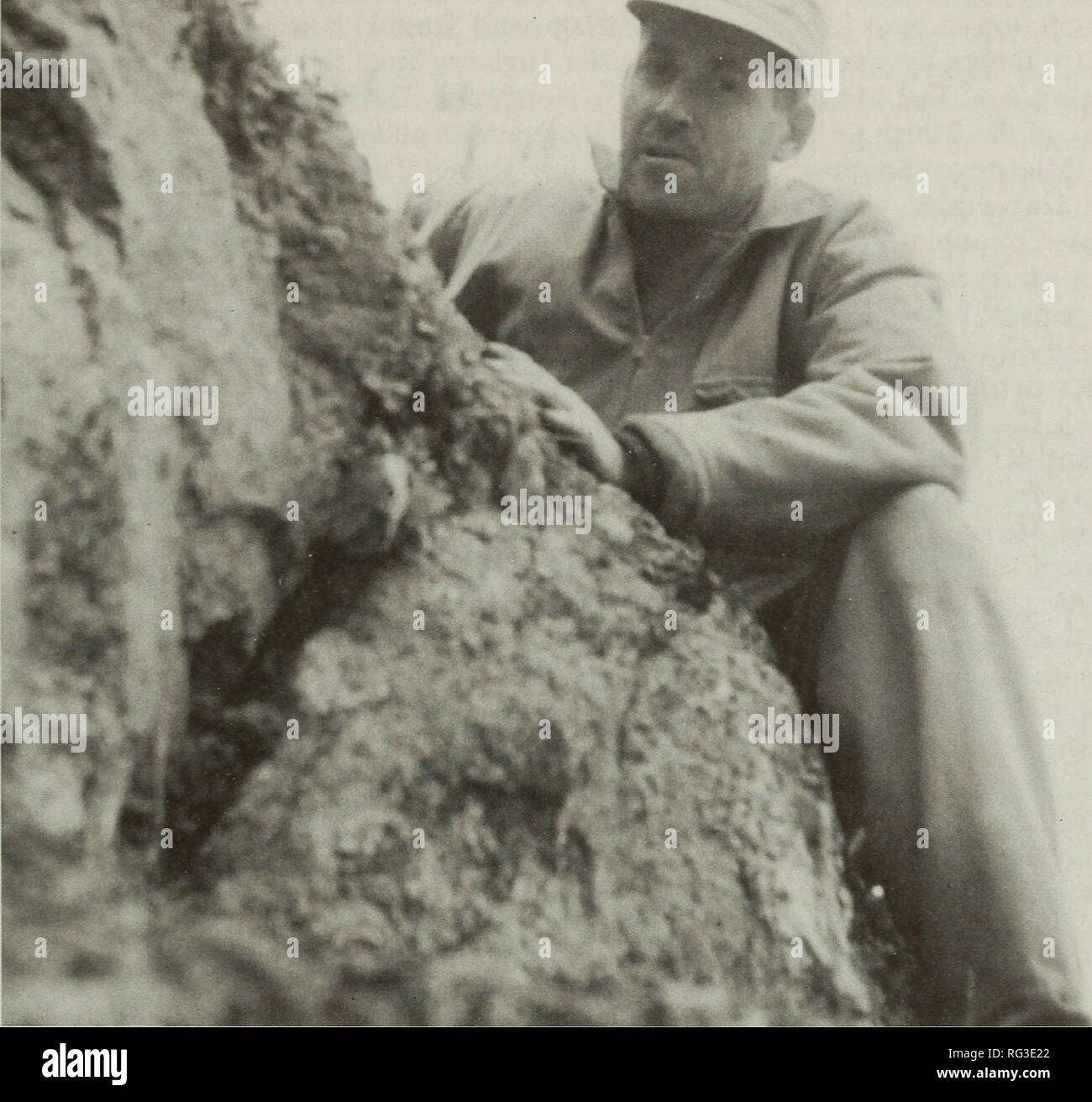 . The Canadian field-naturalist. Natural history. 1995 Pringle ...