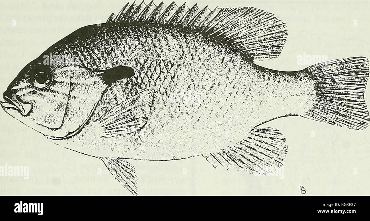 . The Canadian field-naturalist. 1990 HOUSTON: Status of the Redbreast ...