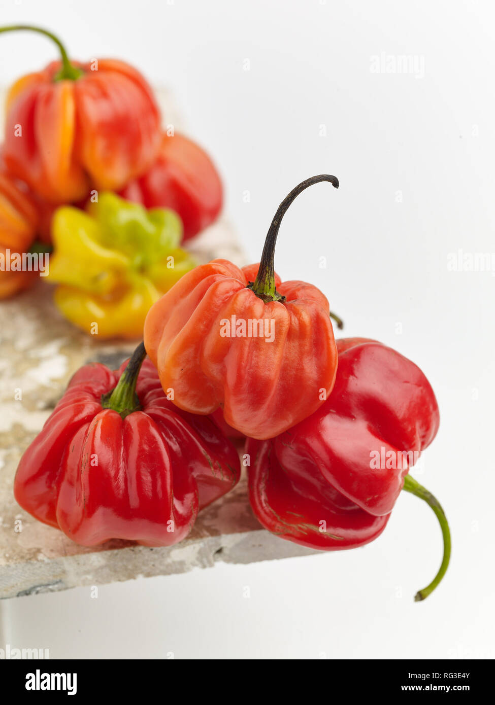 Colourful Scotch Bonnet hot pepper, food still-life photograph Stock ...