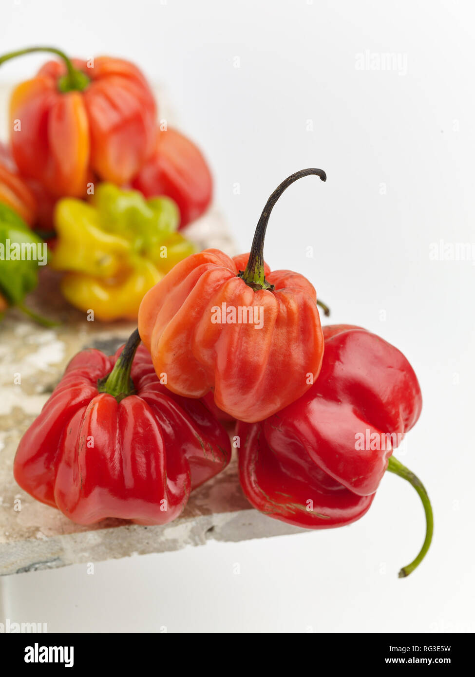 Colourful Scotch Bonnet hot pepper, food still-life photograph Stock ...