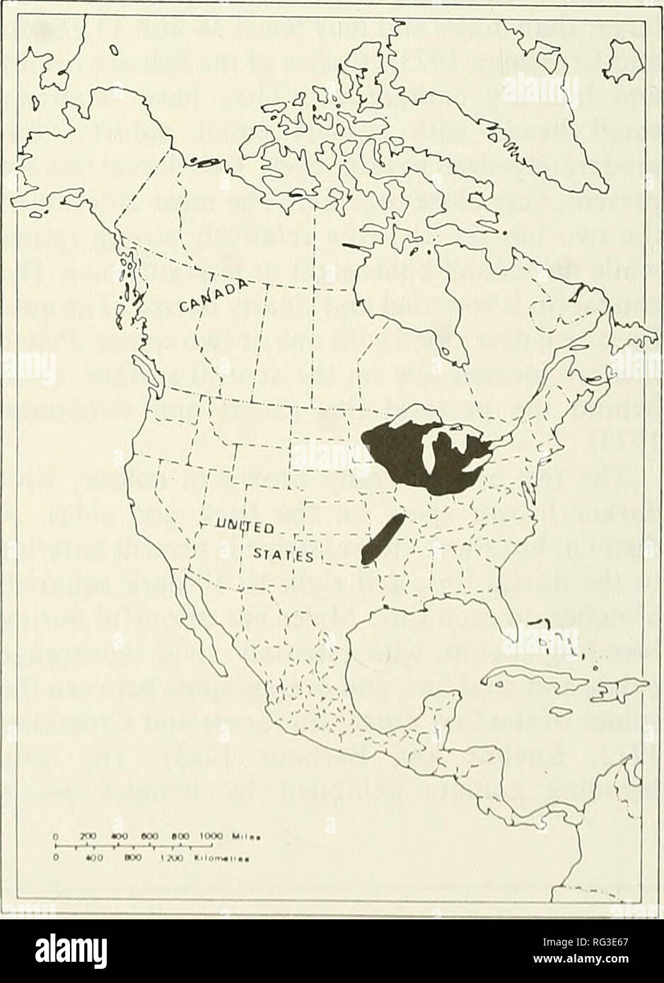 . The Canadian field-naturalist. 1 0 m m Figure 1. Least Darter ...