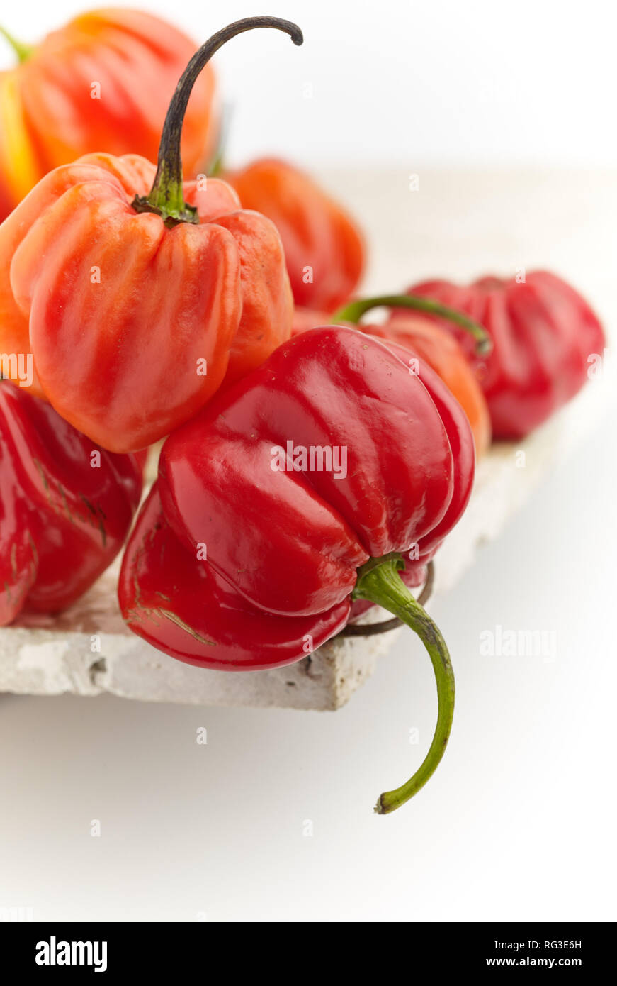 Colourful Scotch Bonnet hot pepper, food still-life photograph Stock ...