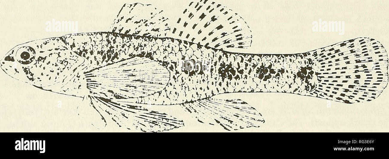 . The Canadian field-naturalist. 54 The Canadian Field-Naturalist Vol ...